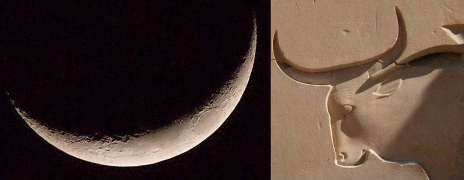 moon-and-horns – 𝐀𝐗𝐈𝐒 ֎ 𝐌𝐔𝐍𝐃𝐈